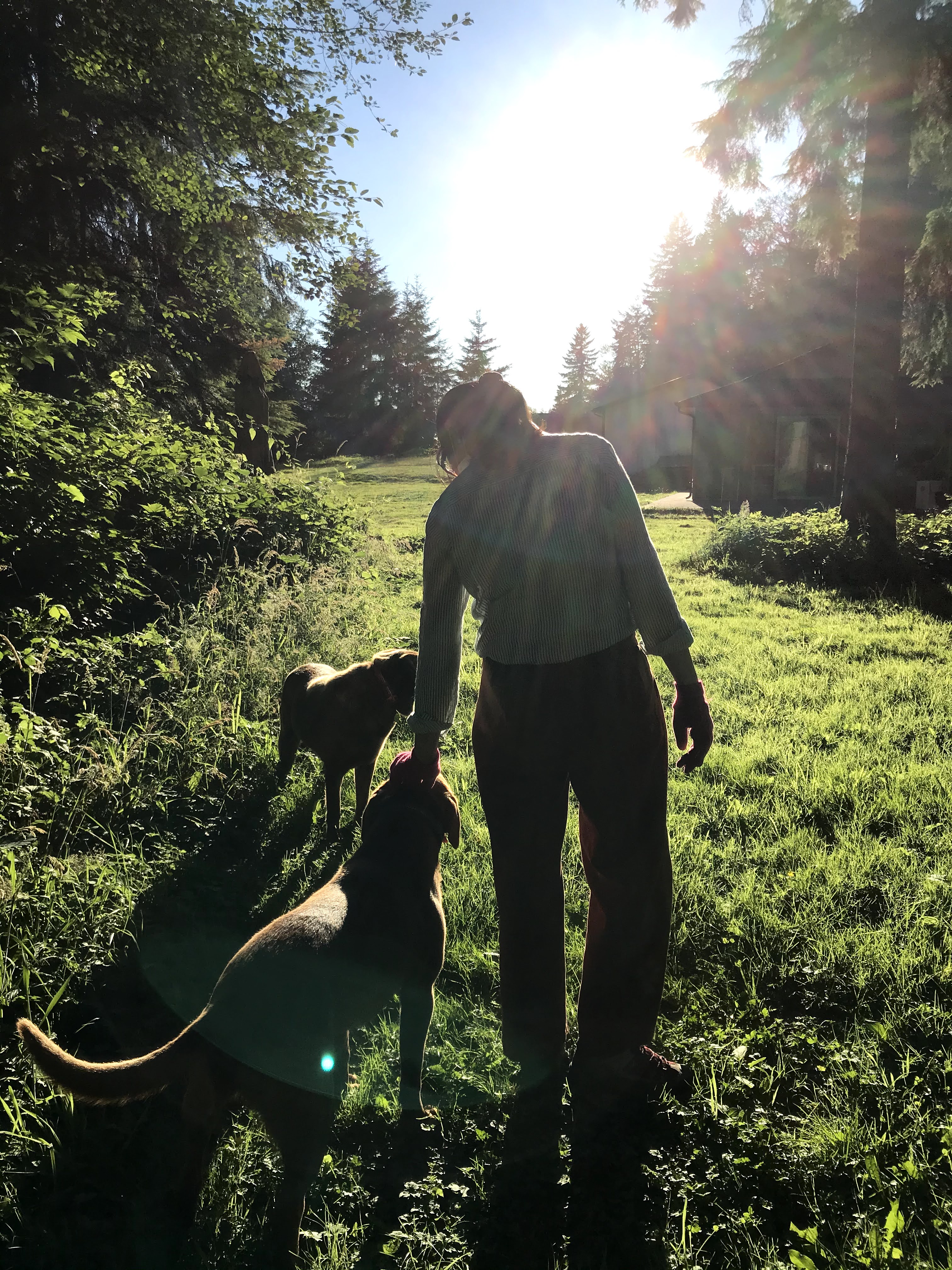 About Me – Gowun Park